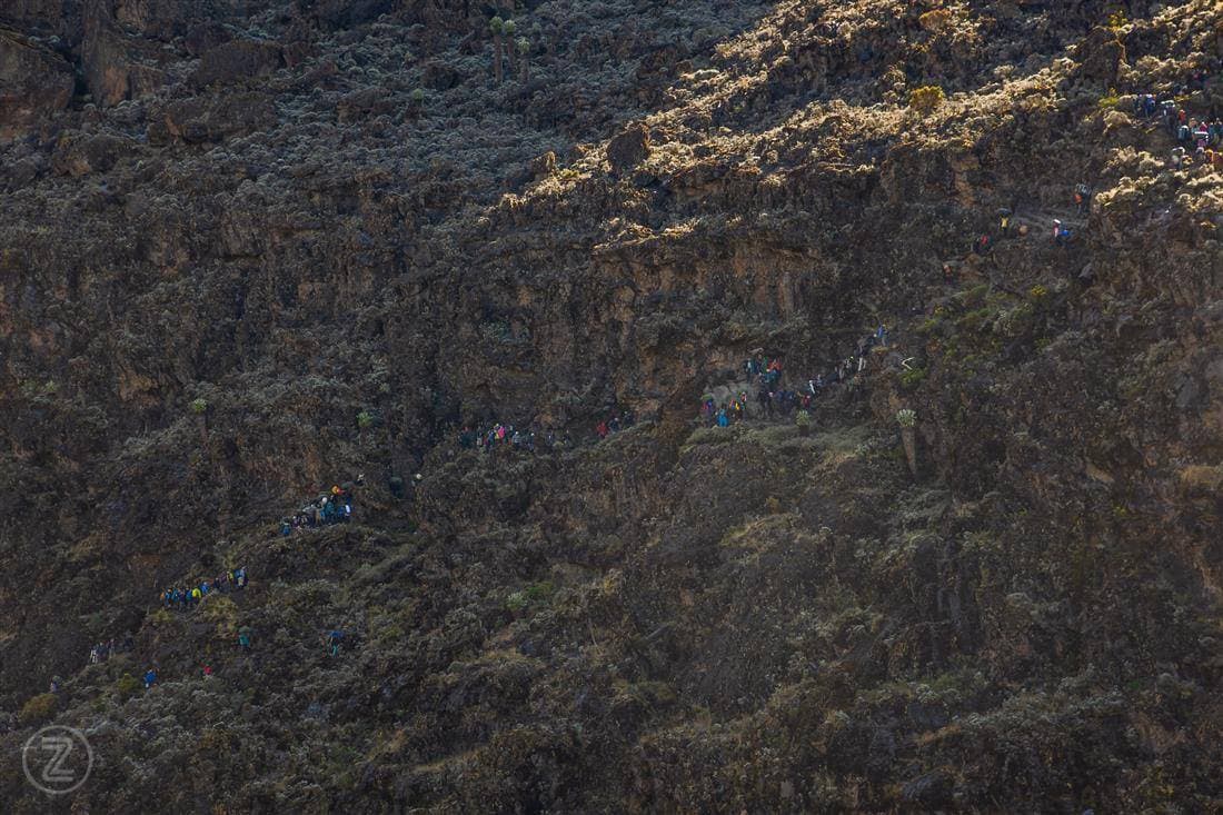 Mount Kilimanjaro guide recommendations for beginners