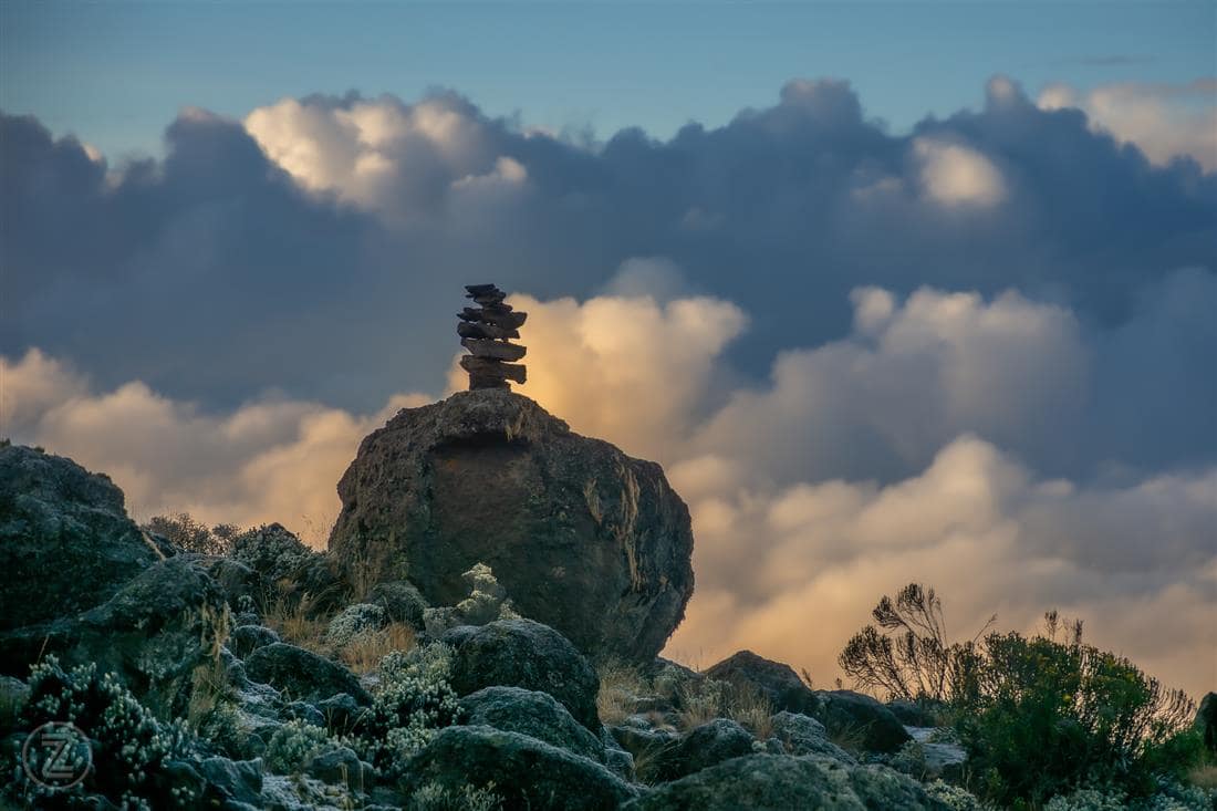 Shira Route - 7 Days Kilimanjaro itinerary